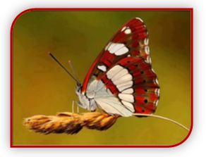 Imagen3.1 | Moonmentum