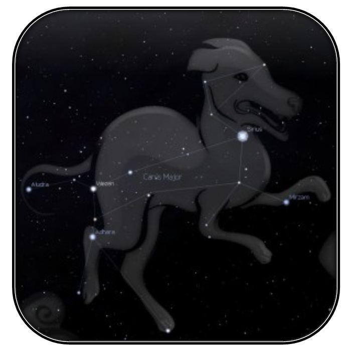 Canes-Mayor1 | Moonmentum